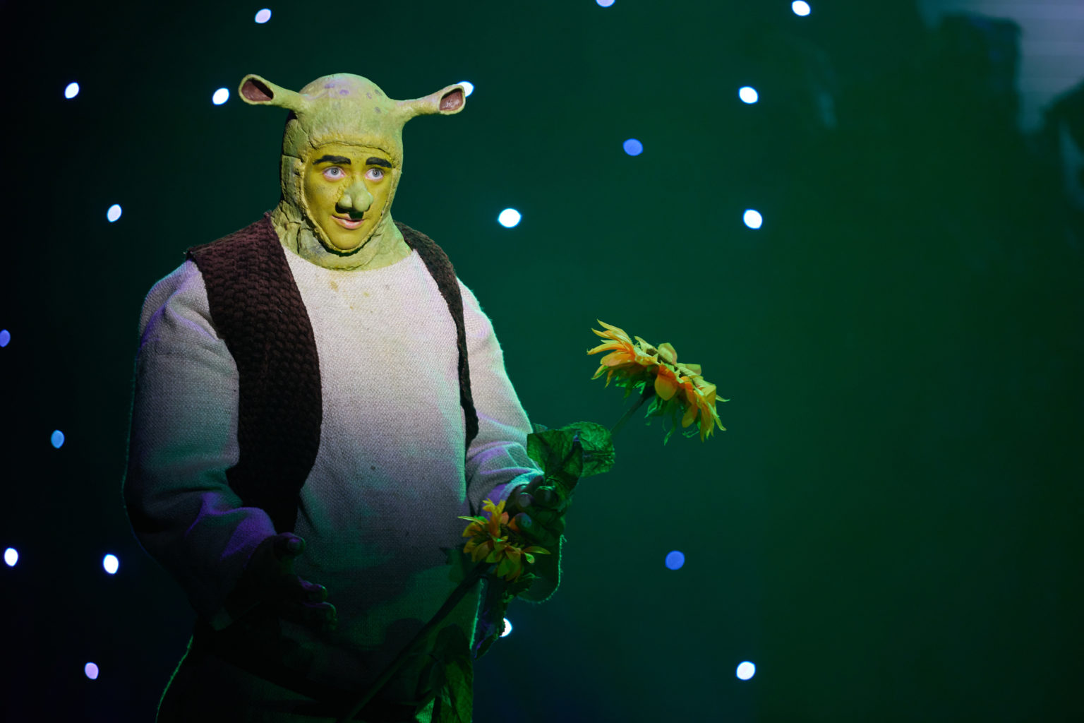 Shrek the Musical | Luther College Croydon